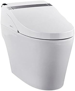 The 10 Best Bidet Toilet Combo Reviews & Buying Guide - Toilet Lounge